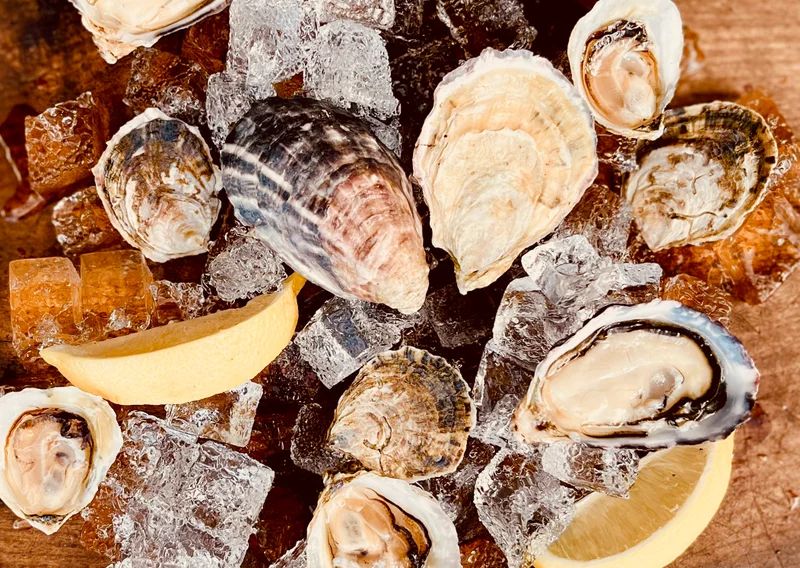 Top Places for Seafood on San Juan Island – The Web Suites